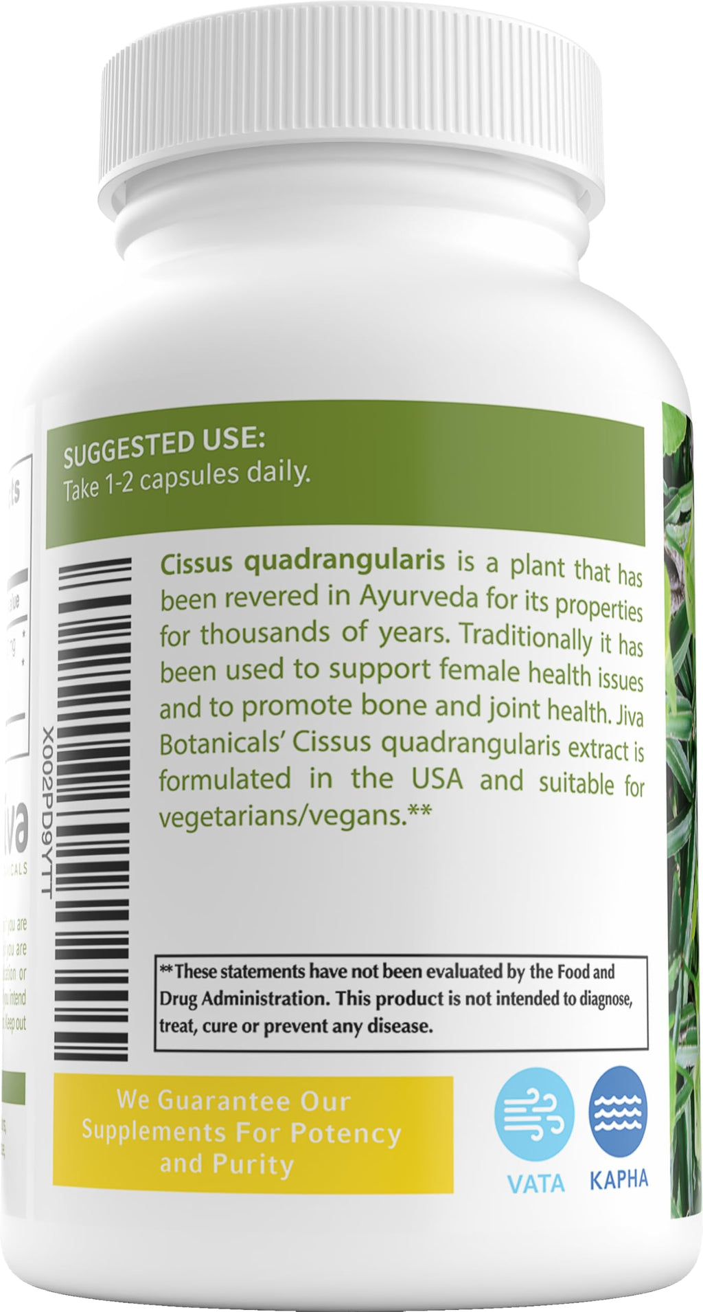 benefits of cissus quadrangularis capsules