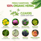 benefits of cleavers herb tea