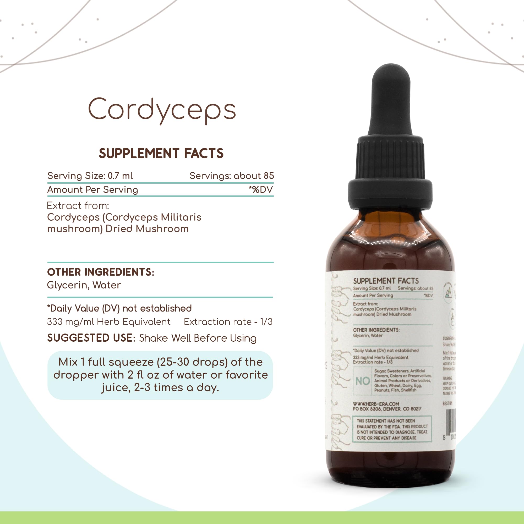 benefits of cordyceps mushrooms for energy