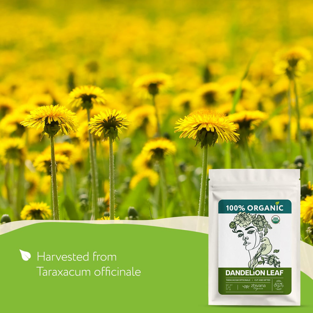 benefits of dandelion leaf tea