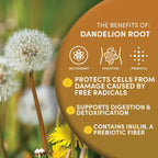 benefits of dandelion root tea