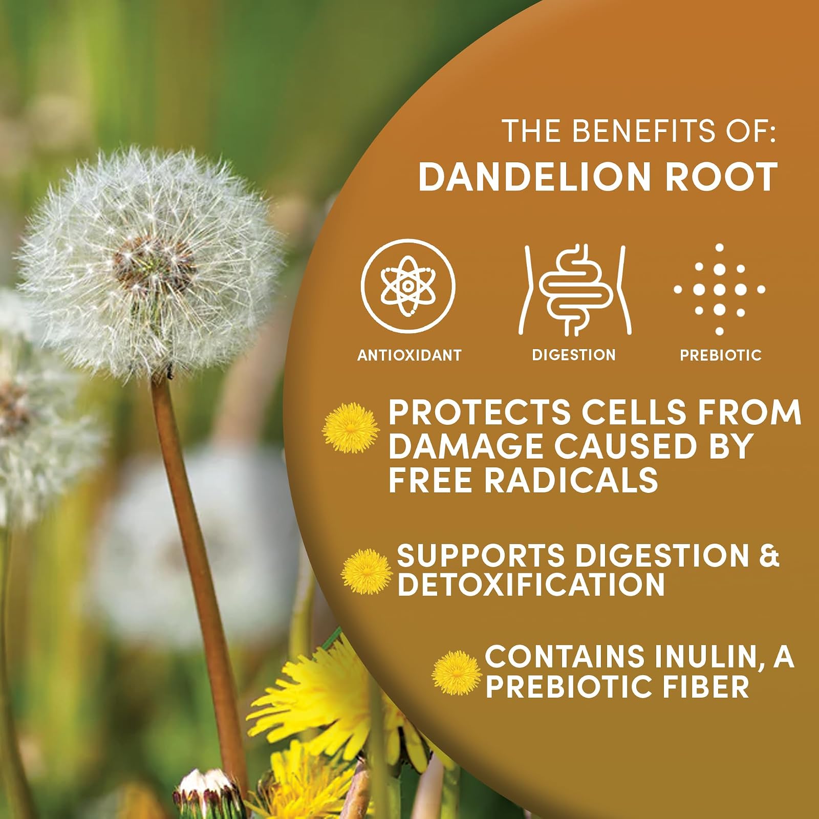 benefits of dandelion root tea