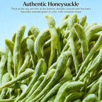 benefits of dried honeysuckle buds