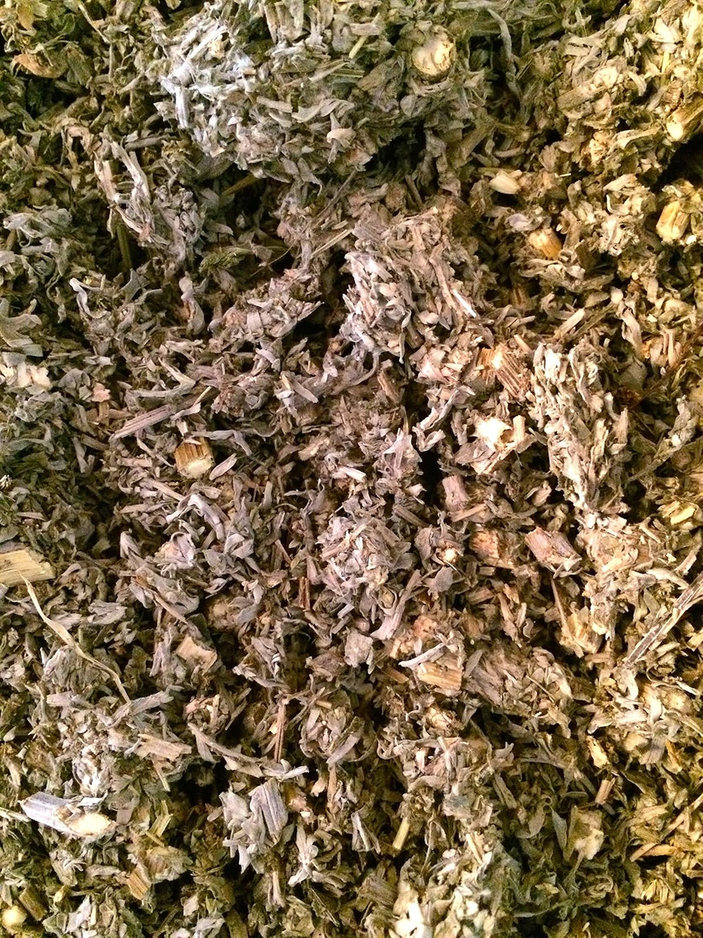 benefits of dried wormwood infusion