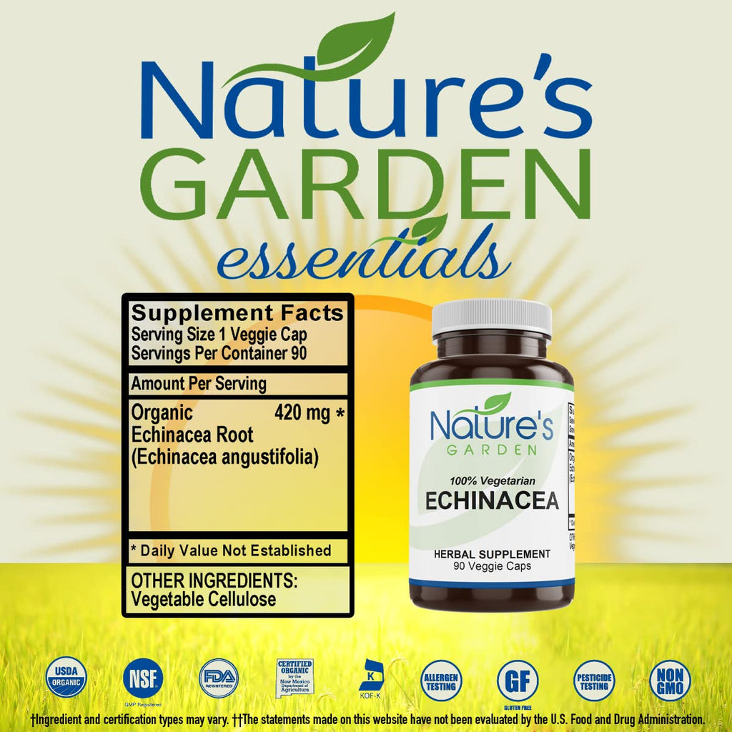 benefits of echinacea for cold relief