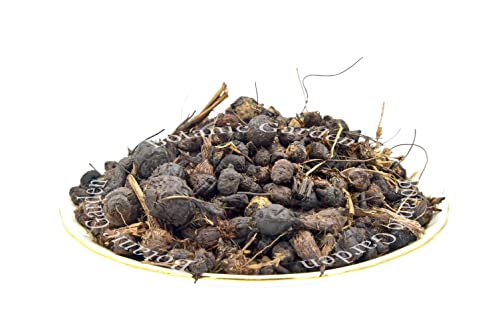 benefits of echinacea for throat health
