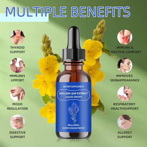 benefits of echinacea for wellness