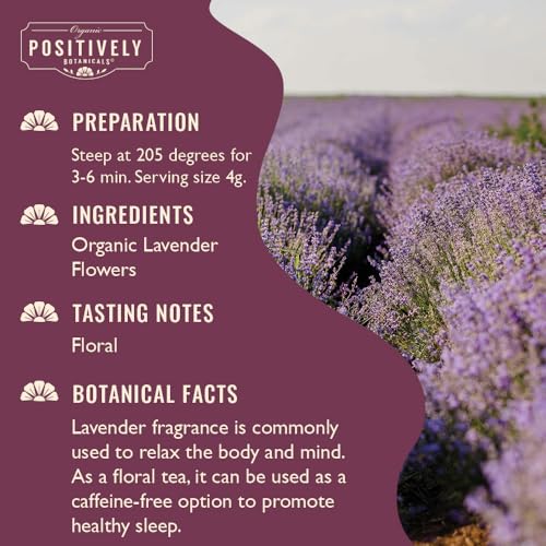 benefits of echinacea tea
