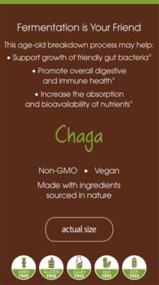benefits of fermented chaga mushrooms