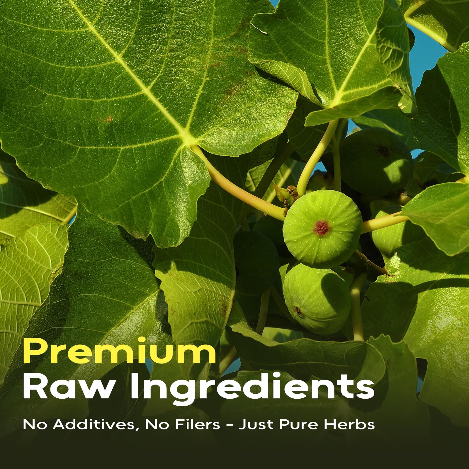 benefits of fig leaf tea