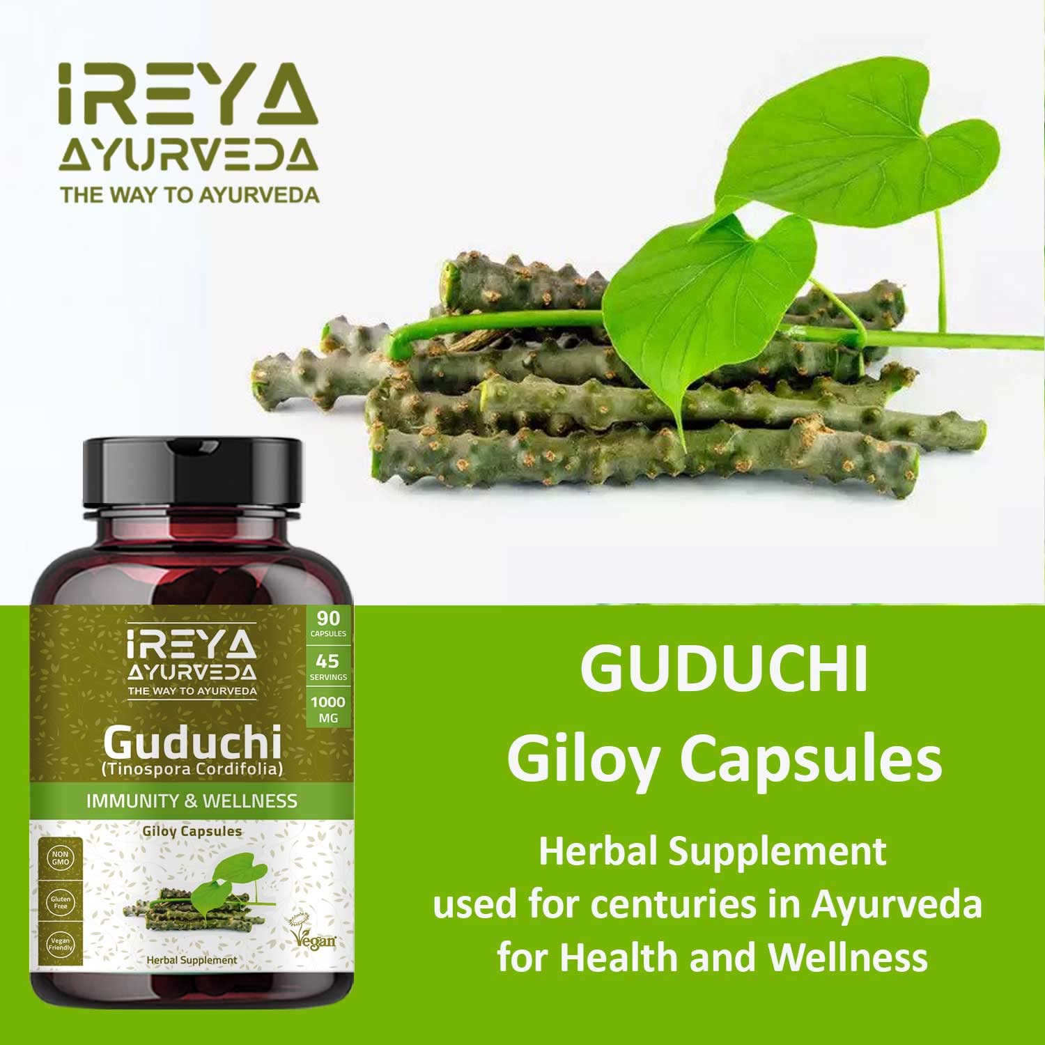 benefits of giloy in herbal medicine