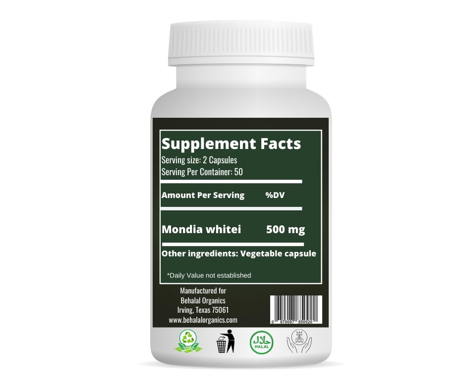 benefits of ginger in supplements
