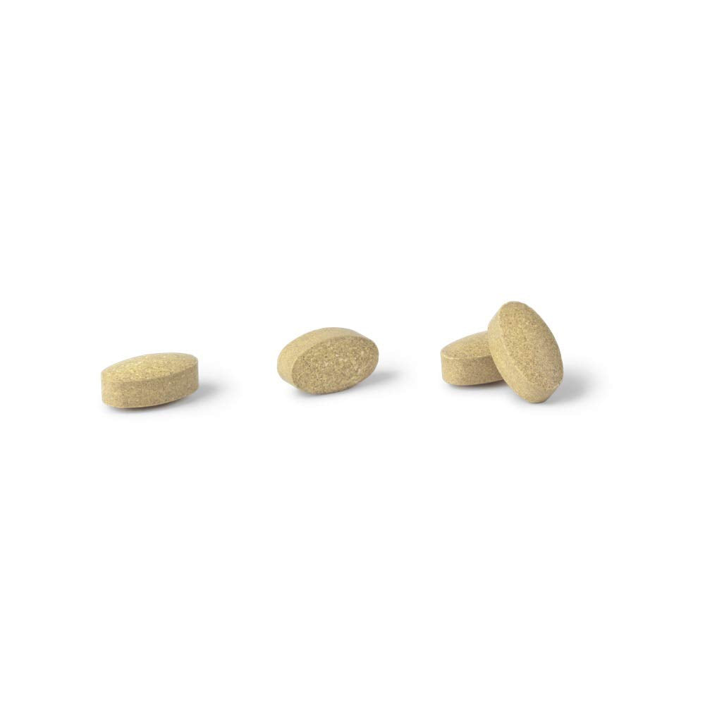 benefits of ginkgo biloba for memory enhancement