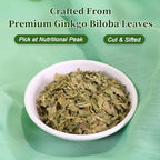 benefits of ginkgo biloba tea