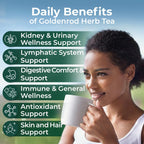 benefits of goldenrod tea