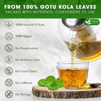 benefits of Gotu Kola tea