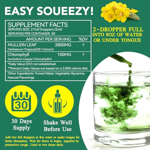 benefits of great mullein for wellness