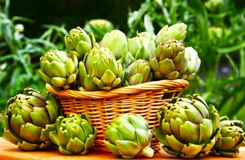 benefits of growing artichokes