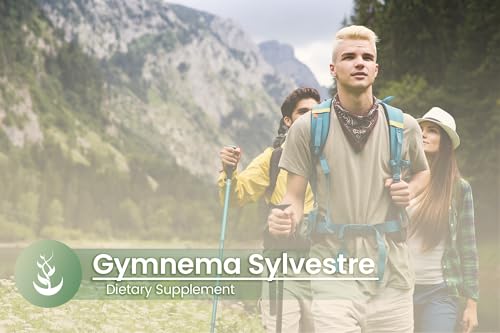 benefits of gymnema sylvestre tea