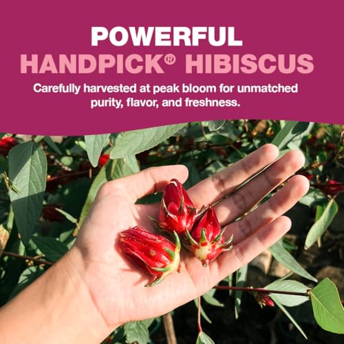 benefits of hibiscus herbal tea