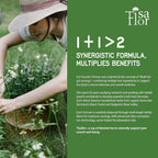 benefits of horsetail herb tea