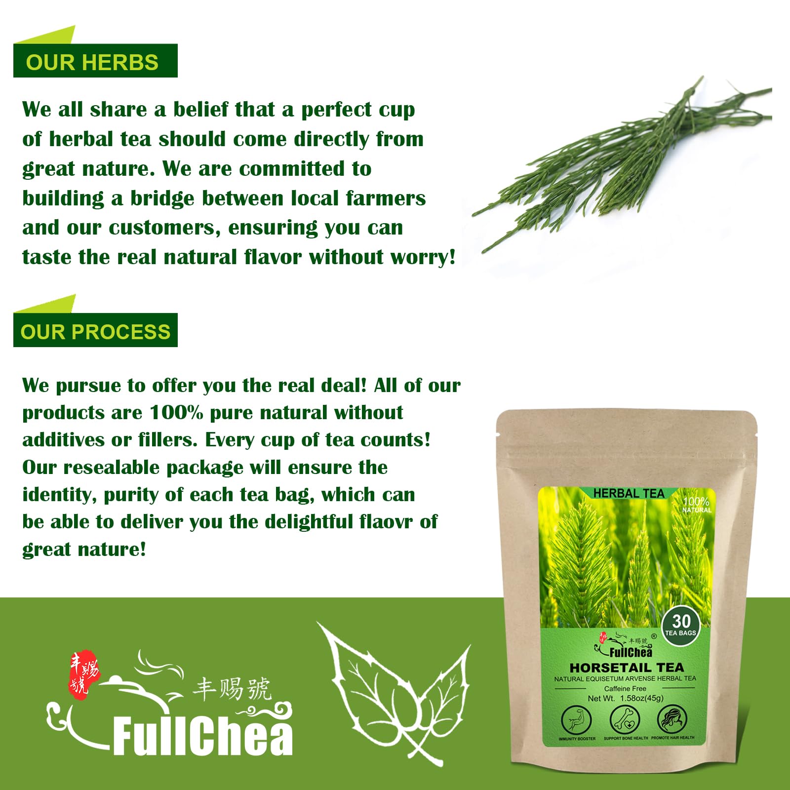 benefits of horsetail herbal tea