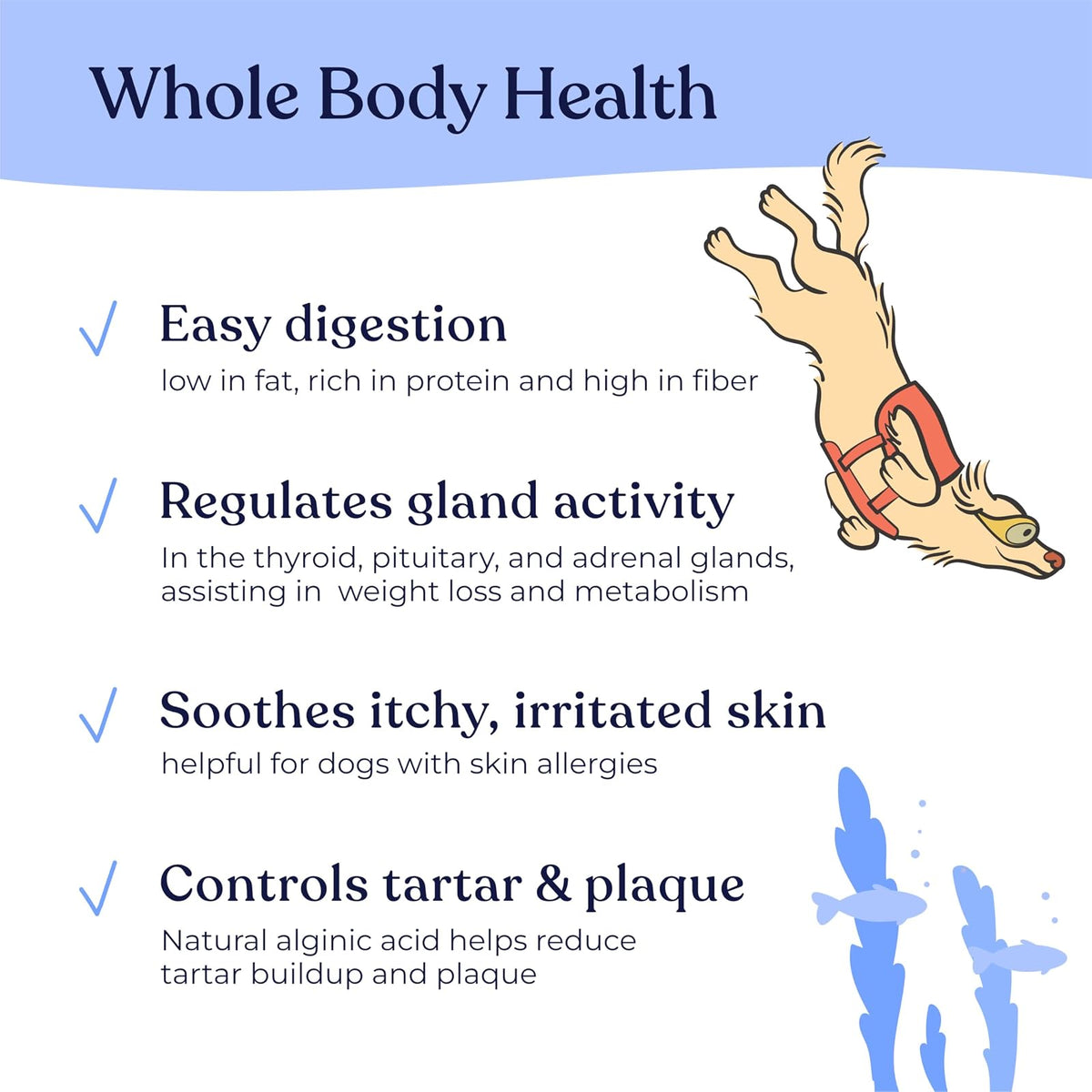 benefits of iodine for wellness