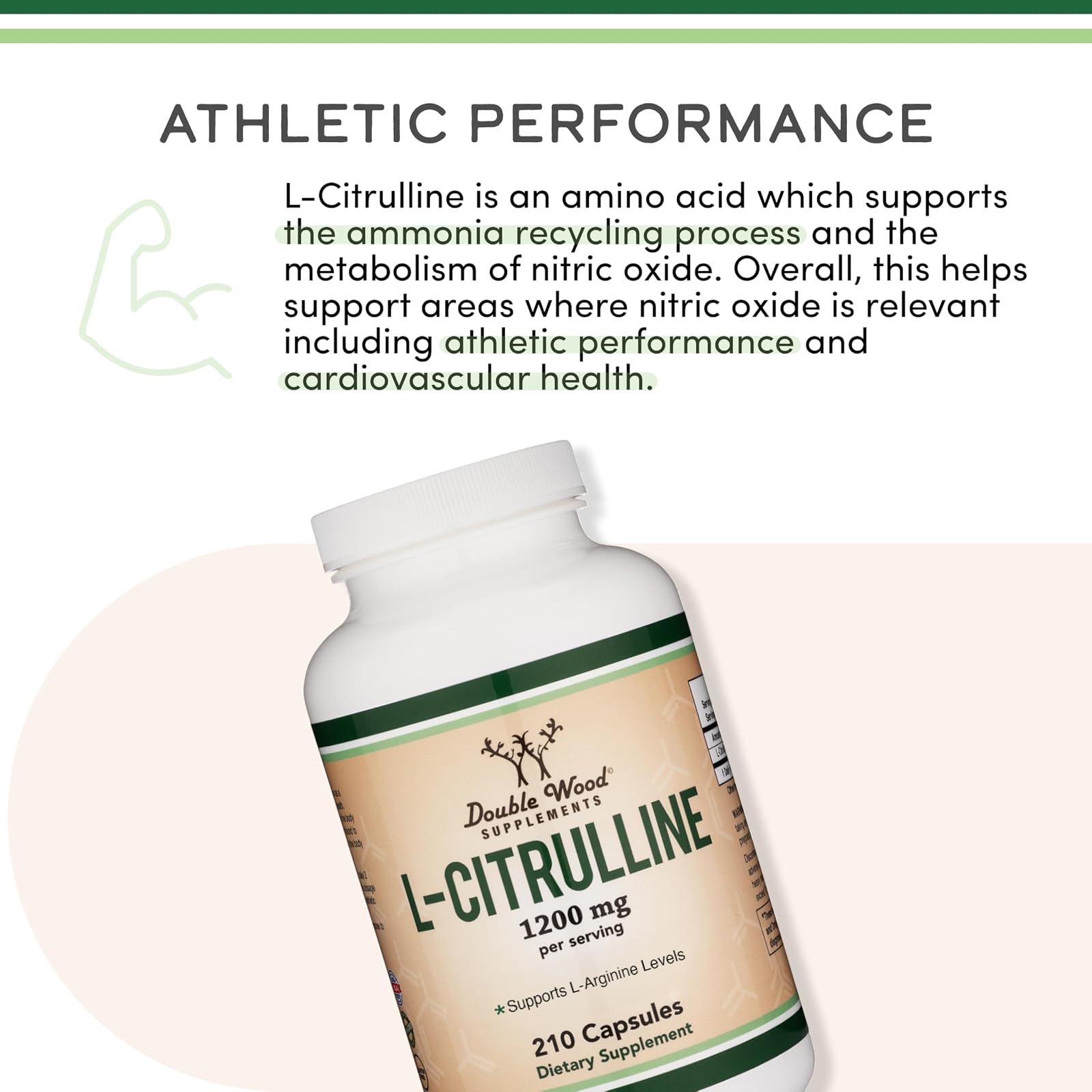 benefits of l-arginine and l-citrulline