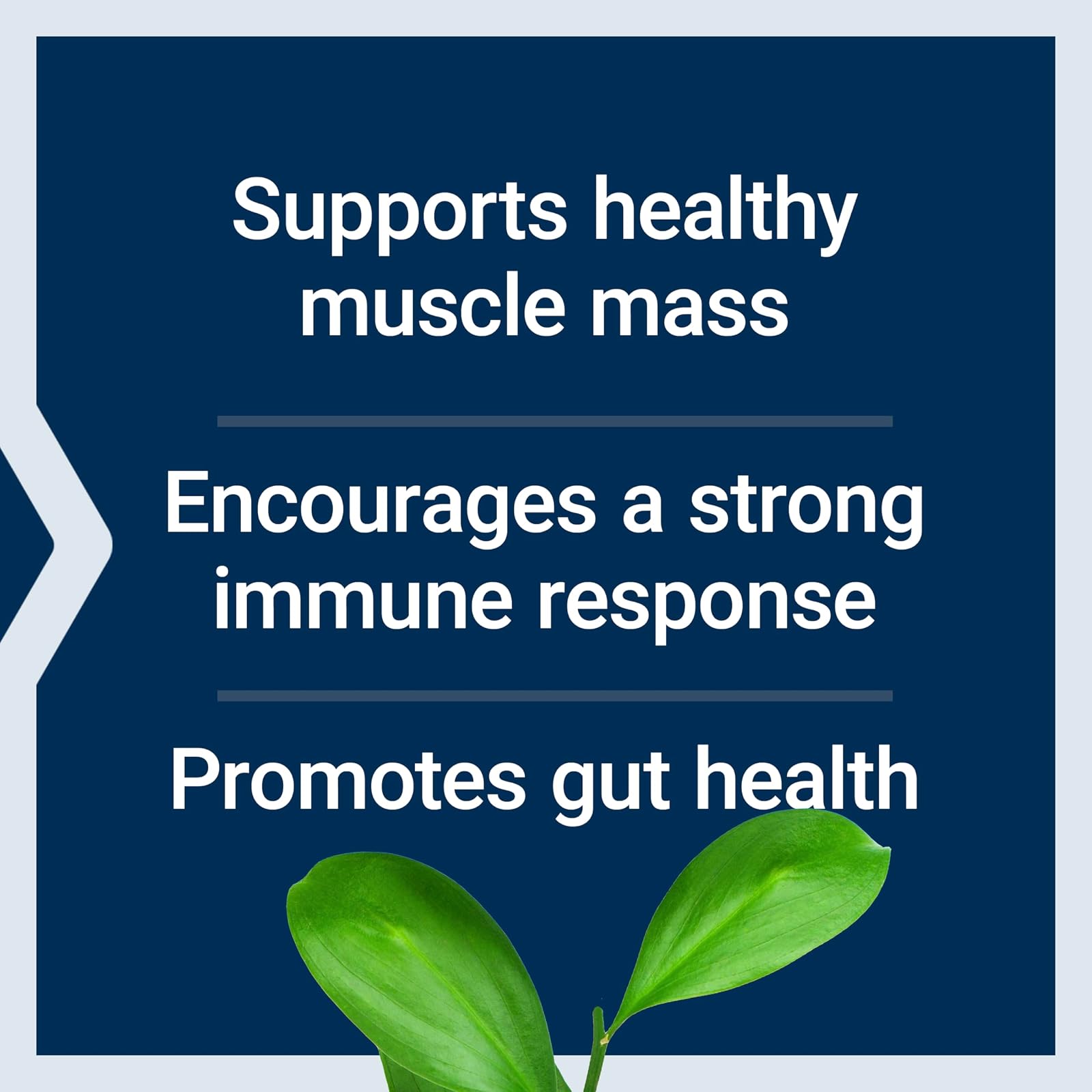 Benefits of L-Glutamine for gut health