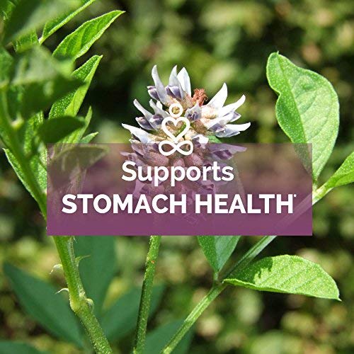 benefits of licorice root for energy