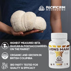 benefits of lion's mane extract