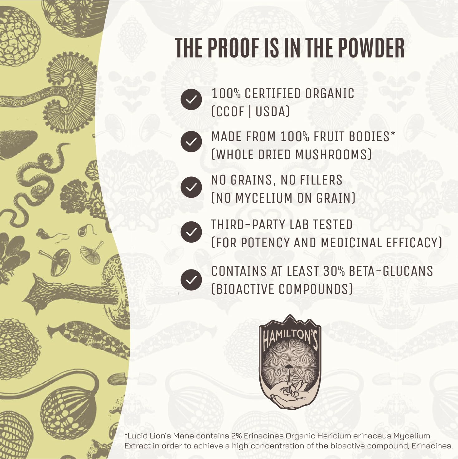 benefits of Lion's Mane mushrooms