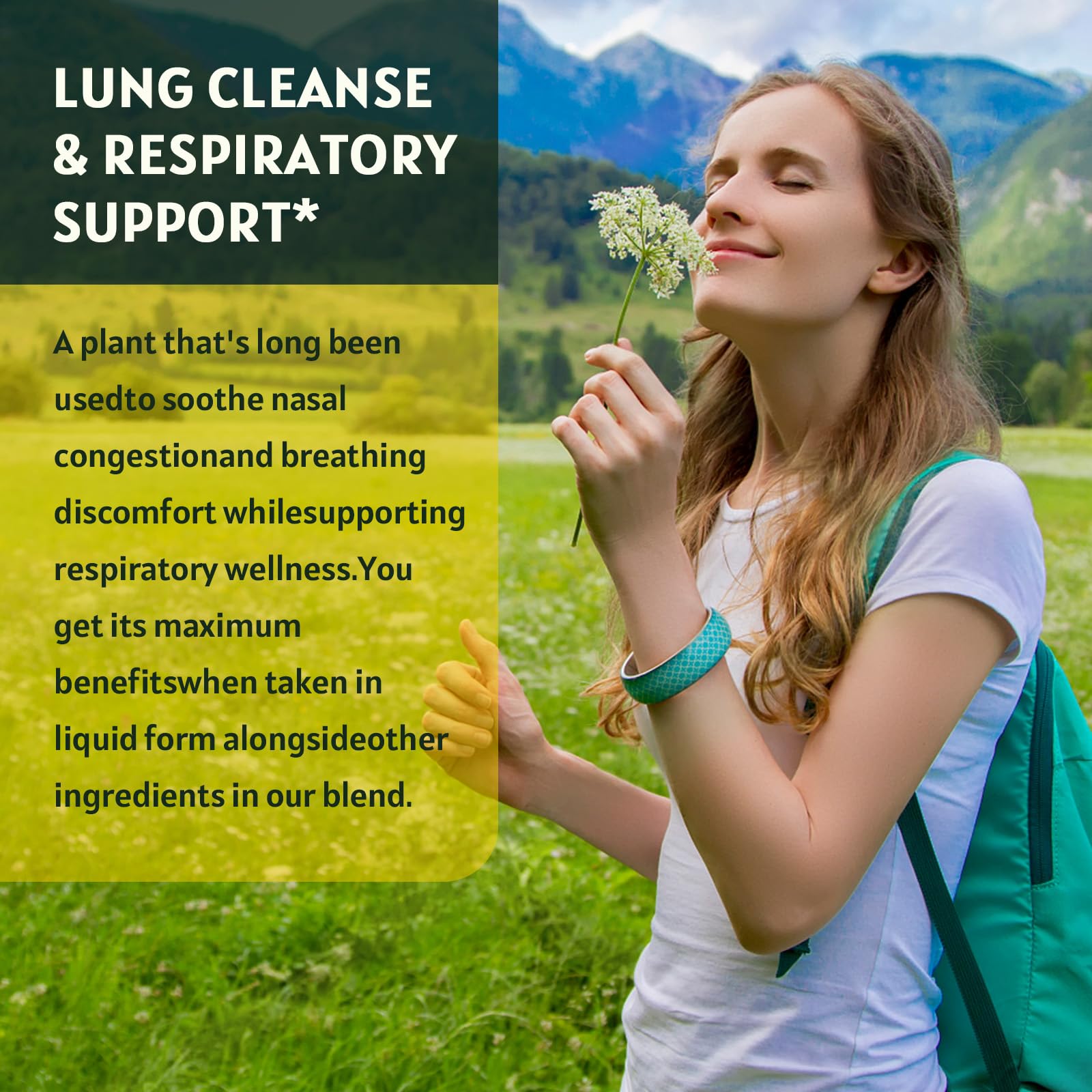 benefits of mullein for lungs