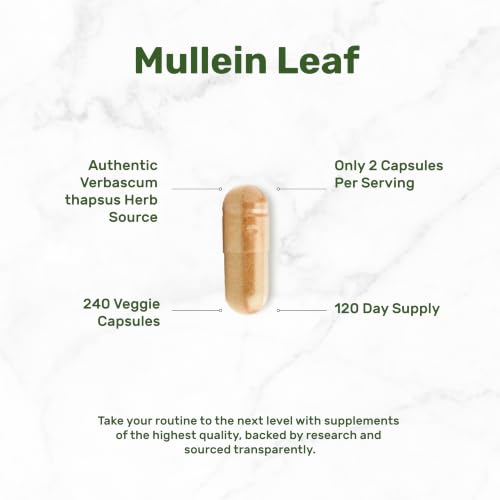 benefits of mullein leaf capsules