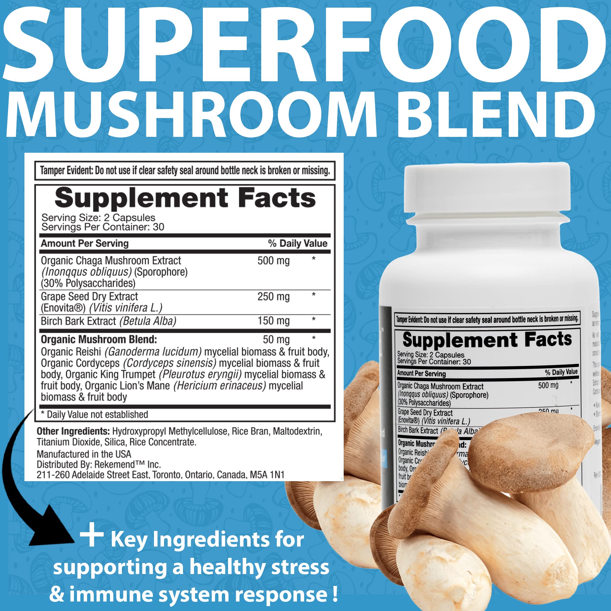 benefits of mushrooms in daily diet