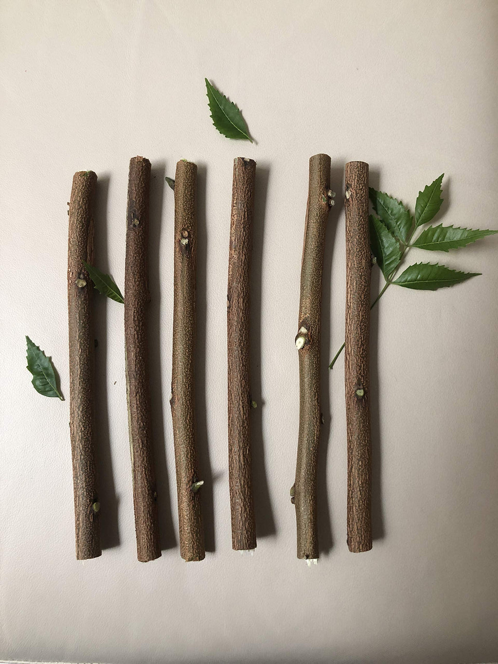 benefits of neem for dental health