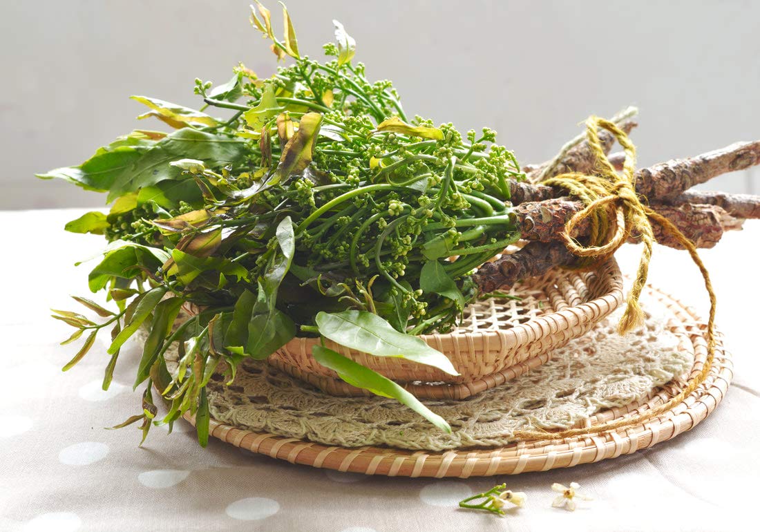 benefits of neem oil for wellness