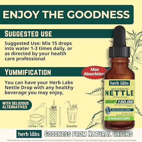 benefits of nettle for immunity