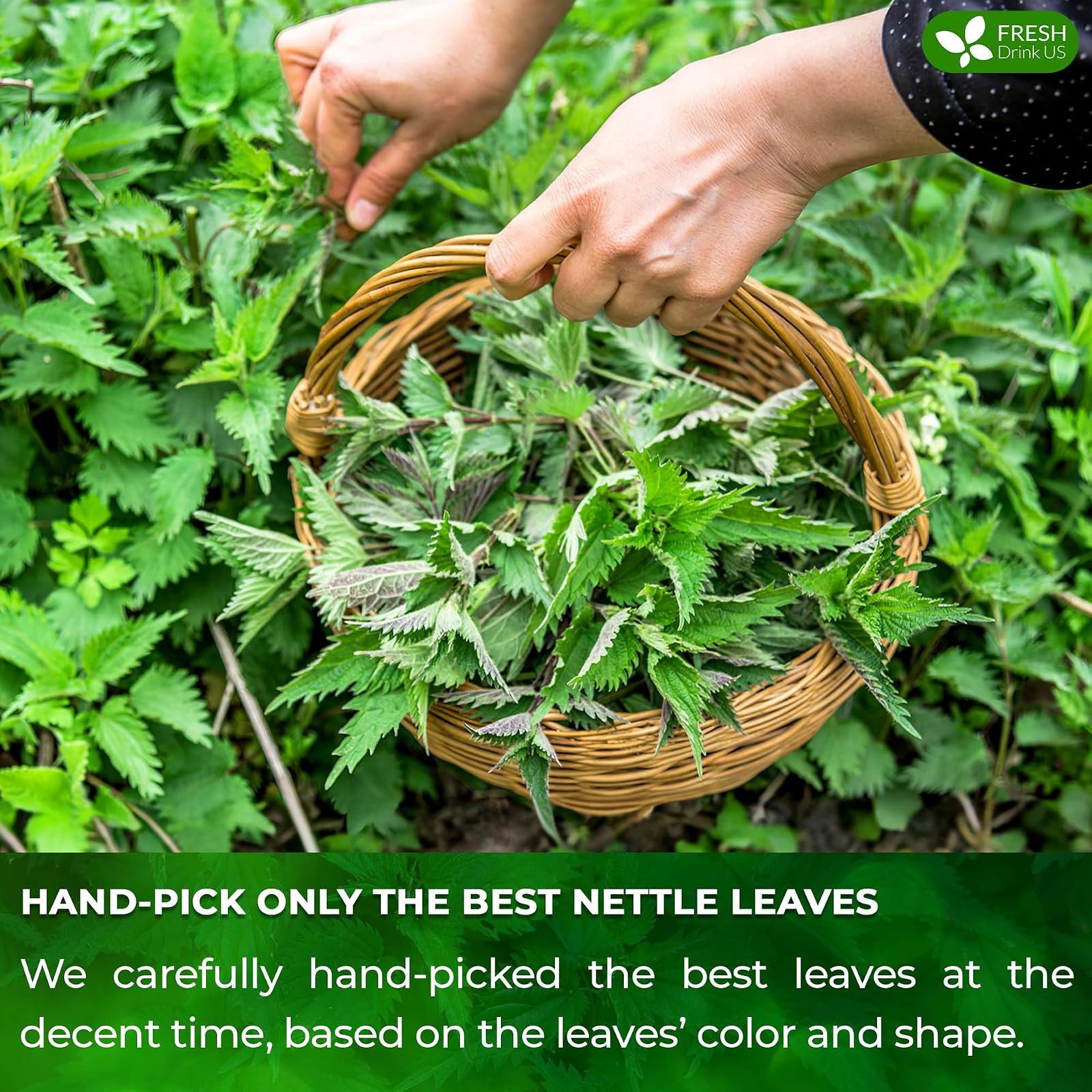 benefits of nettle leaf tea