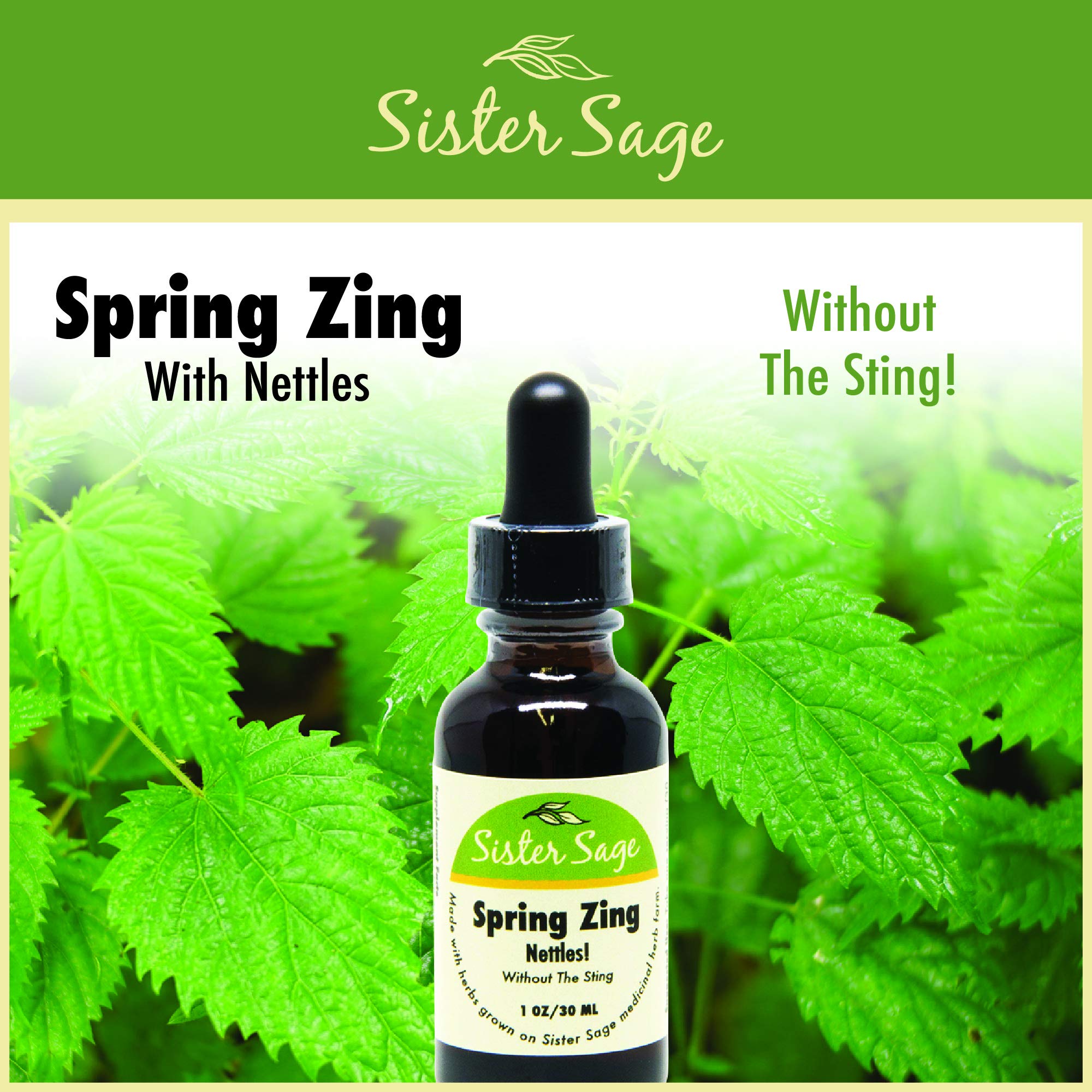 benefits of nettle tea for health