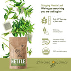 benefits of nettle tea
