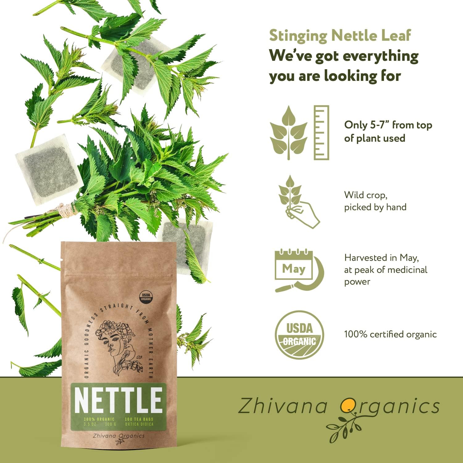 benefits of nettle tea