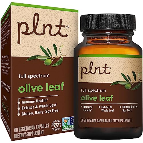 benefits of olive leaf capsules
