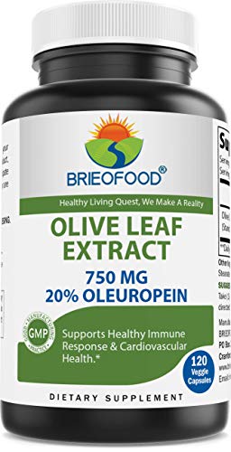benefits of olive leaf extract capsules