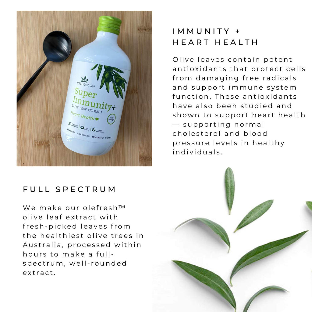 benefits of olive leaf extract capsules