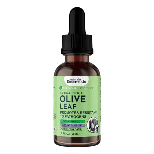 benefits of olive leaf extract for wellness