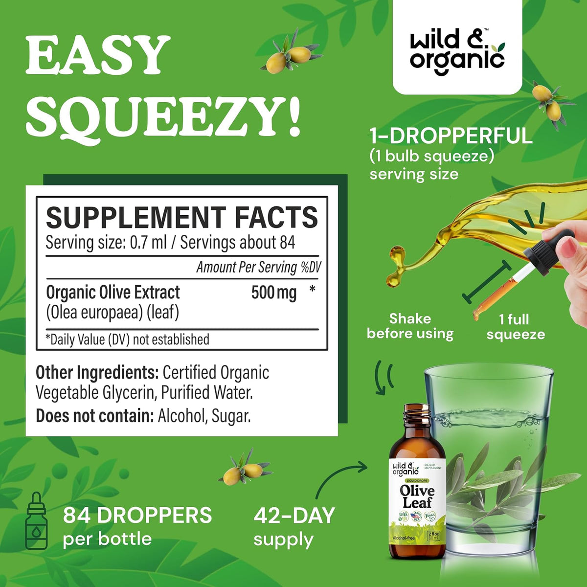 benefits of olive leaf extract