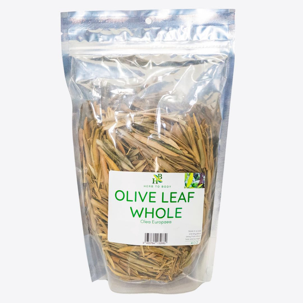 benefits of olive leaf extract