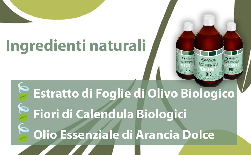 benefits of olive leaf for wellness