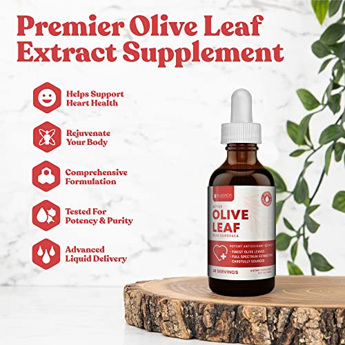 benefits of olive leaf in Canada